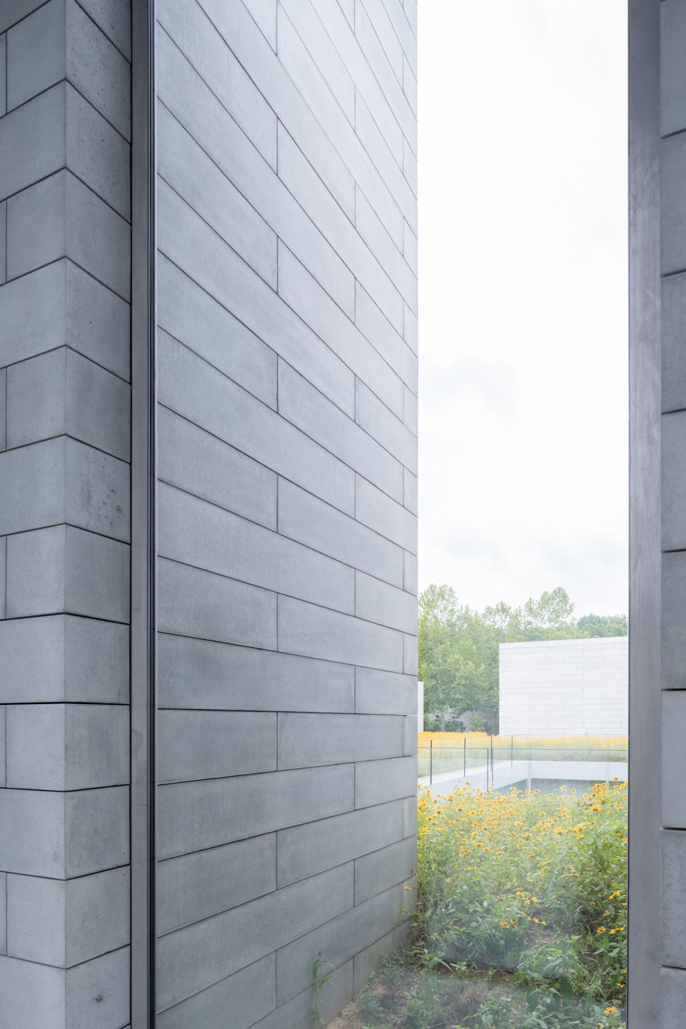 Glenstone Museum | Thomas Phifer and Partners